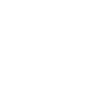 About Lone Star Armory - Precision Firearms Manufacturing