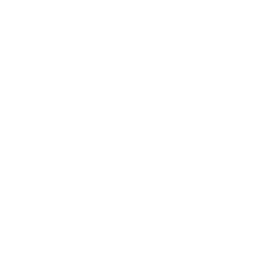 About Lone Star Armory - Precision Firearms Manufacturing